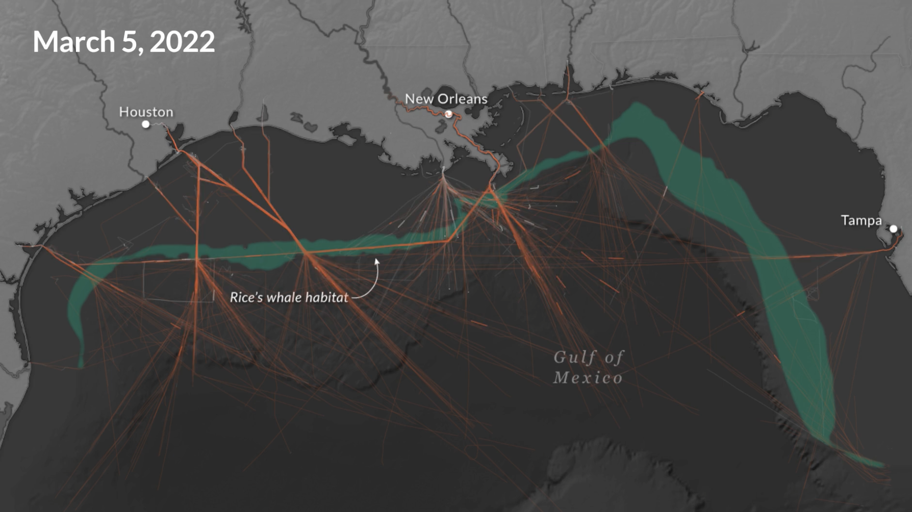 How we used gigabytes of shipping data to show risks to endangered ...